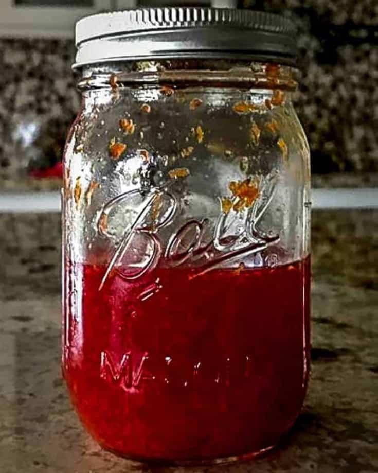 Blood Orange Cordial • Beyond Mere Sustenance