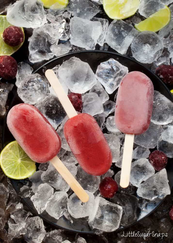 27 Gourmet Paletas and Ice Pops • Beyond Mere Sustenance