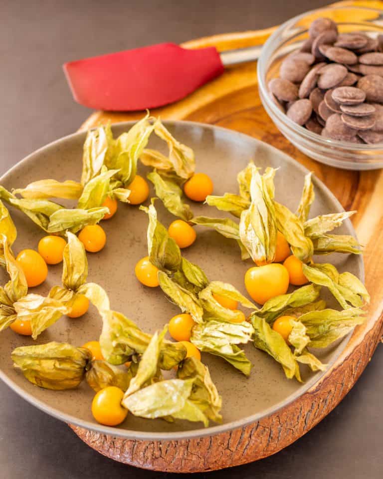 Chocolate Covered Goldenberries • Beyond Mere Sustenance