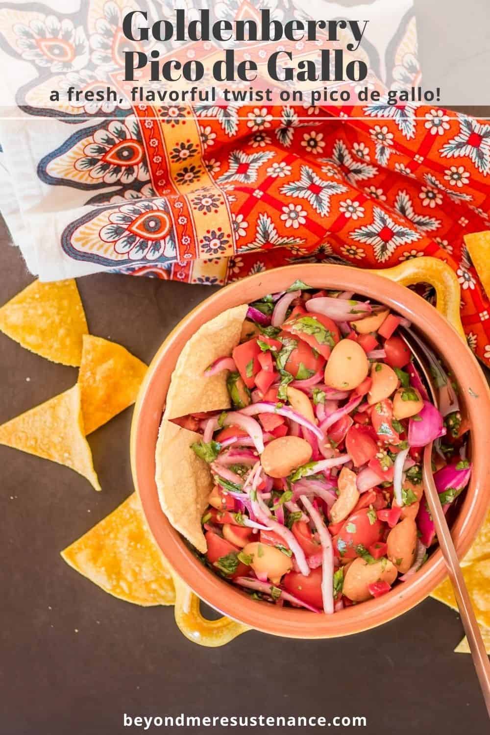 Goldenberry Pico de Gallo • Beyond Mere Sustenance
