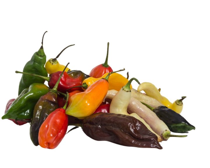 About Peruvian Peppers • Beyond Mere Sustenance