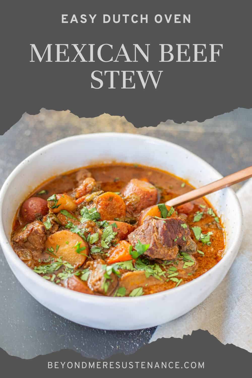 Mexican Dutch Oven Beef Stew • Beyond Mere Sustenance