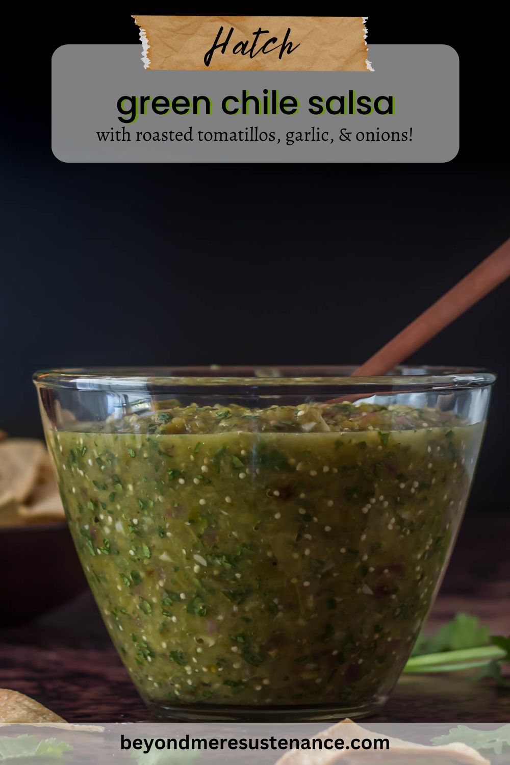 Hatch Green Chile Salsa • Beyond Mere Sustenance